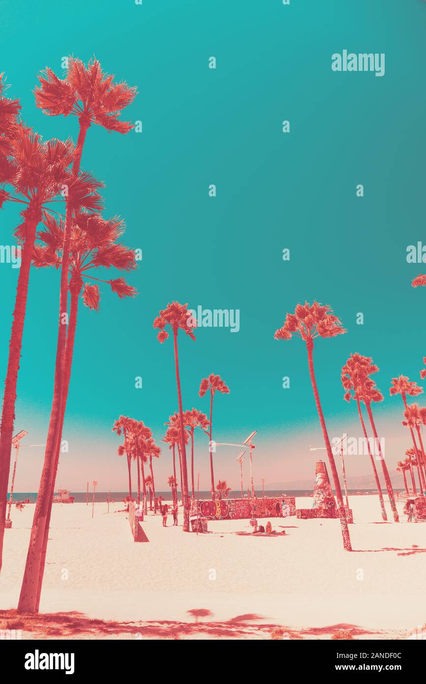 Tripical beach with palm trees. Holiday and vacation concept ...