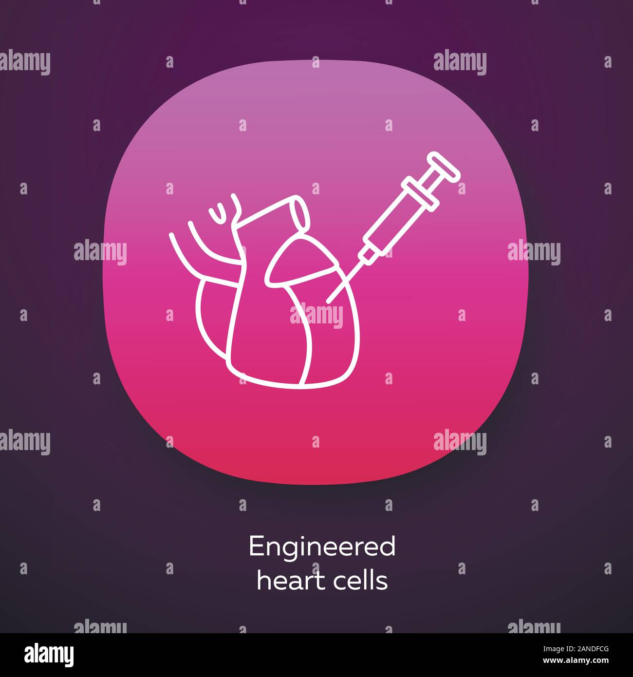 Engineered heart tissues Stock Vector Images - Alamy