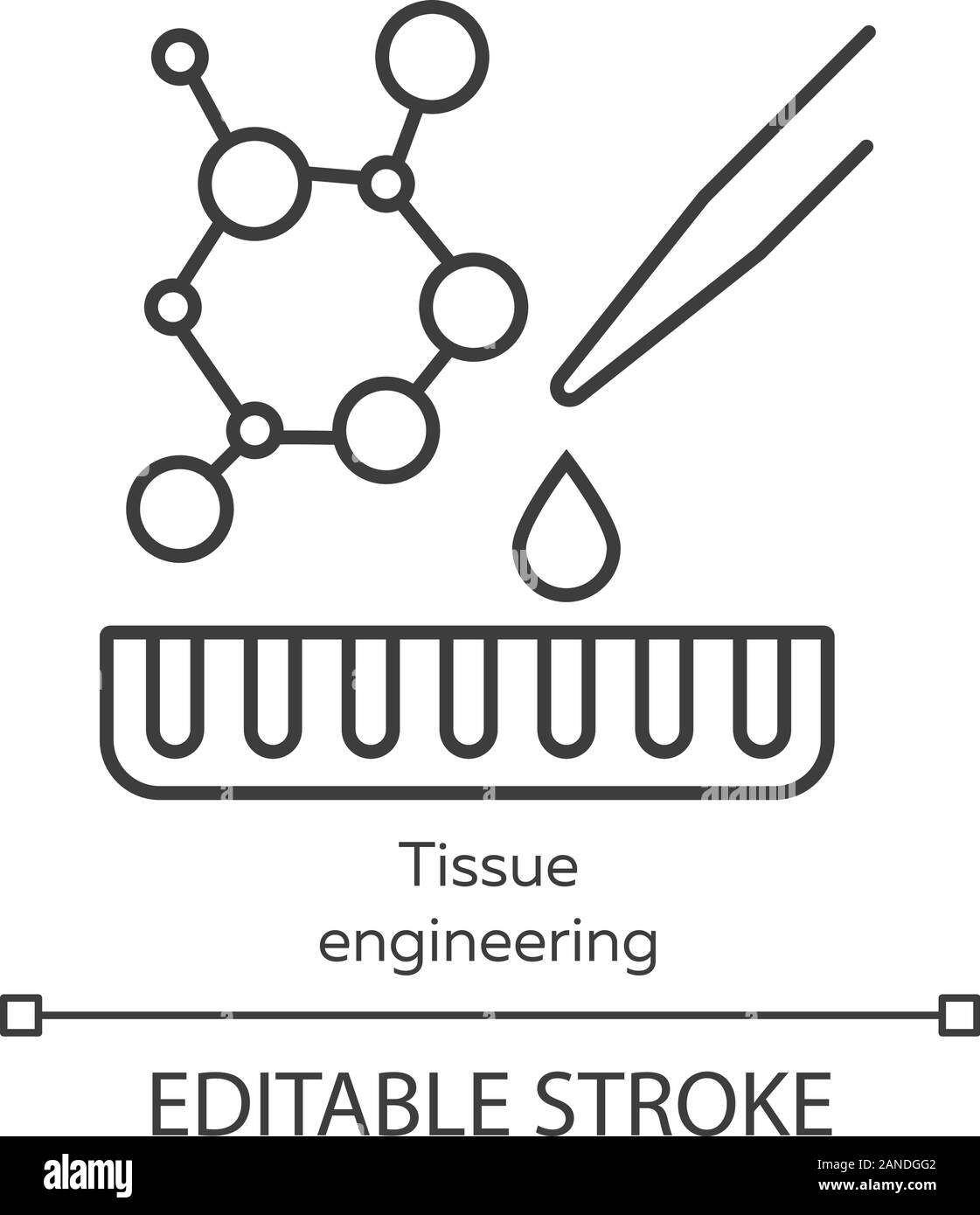 Tissue engineering linear icon. Repair damaged human organs ...