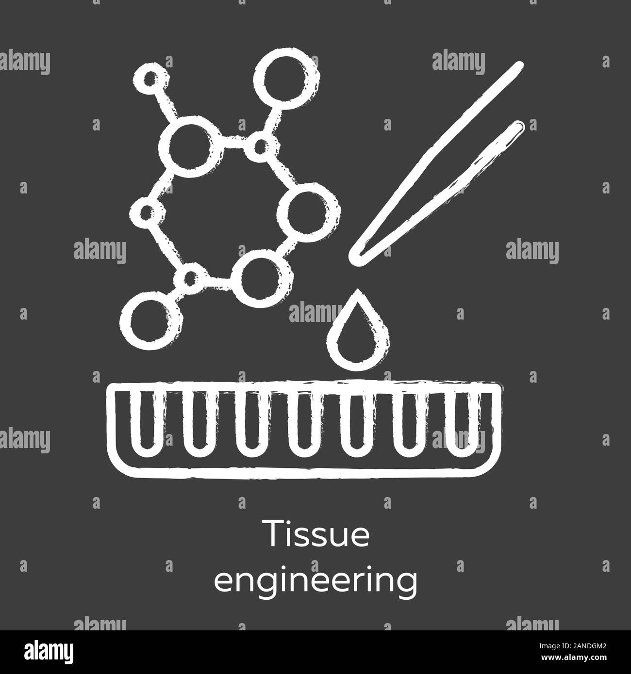 Tissue engineering chalk icon. Combining cells and molecules into ...