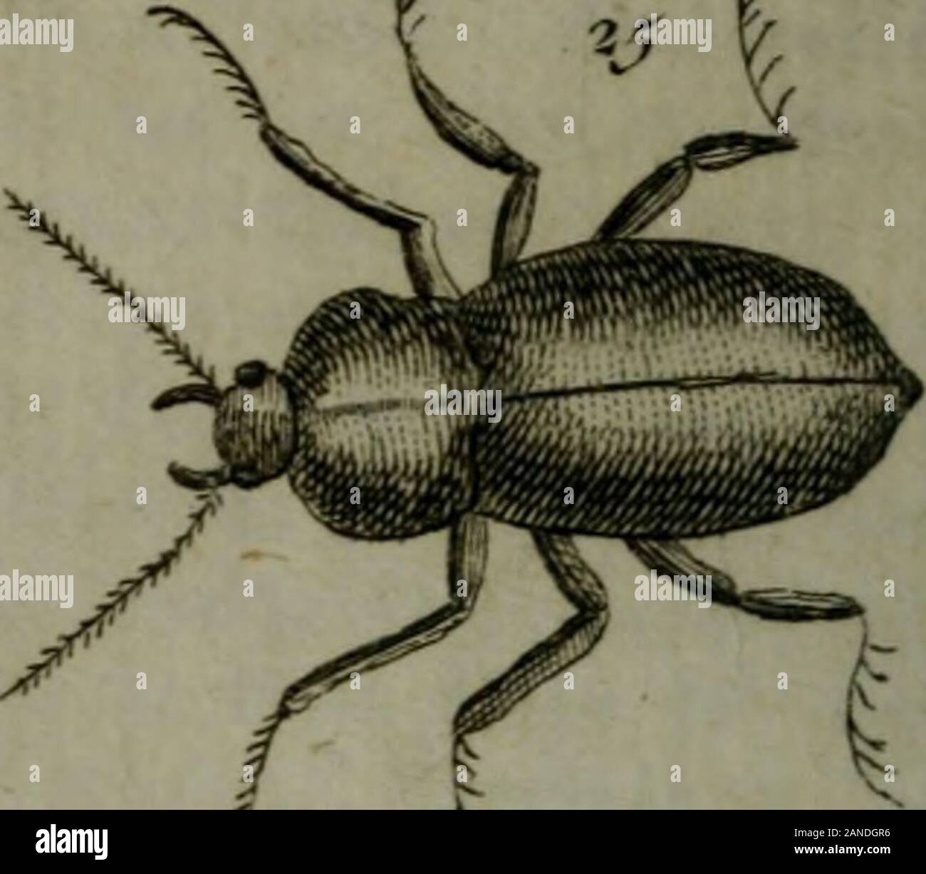 Neih hi-res stock photography and images - Alamy