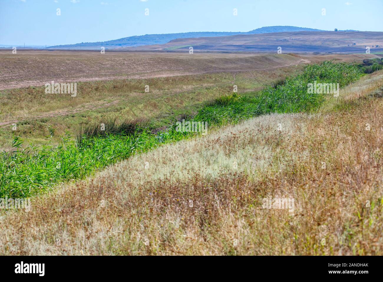 summer landscape with dry natural area Stock Photo - Alamy
