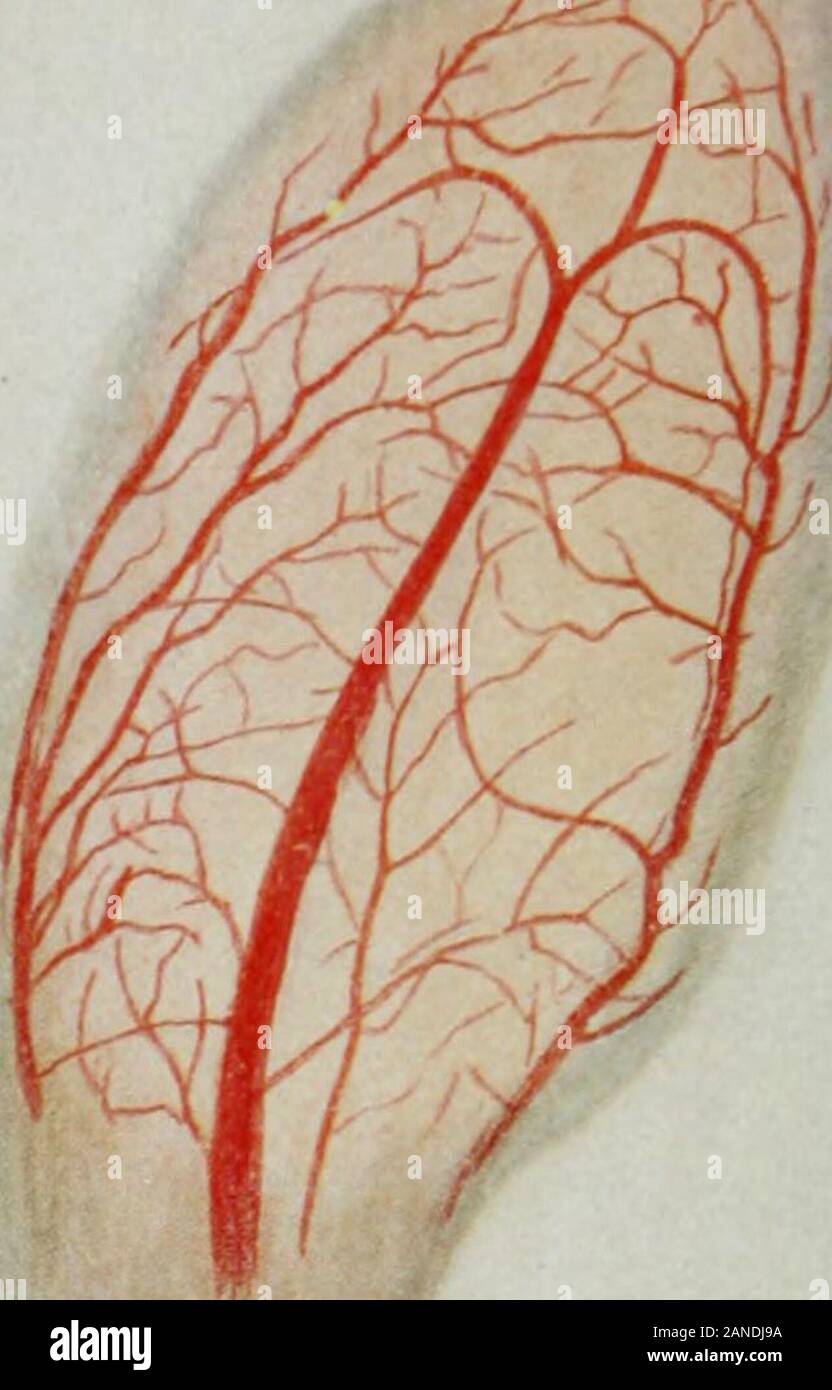 The Journal of laboratory and clinical medicine . ion to consist of ...