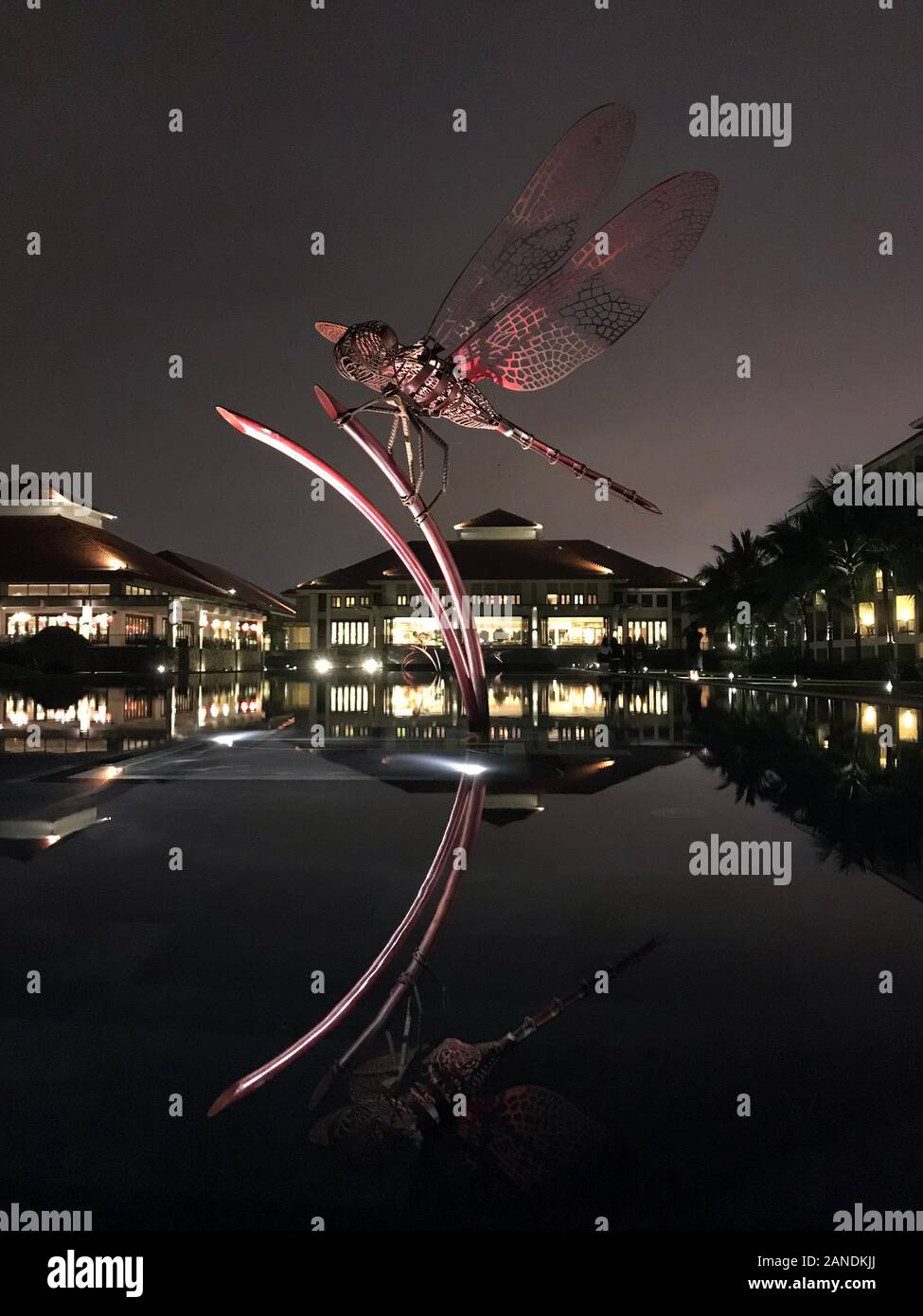 Dragonfly sculpture on hotel pool in evening Stock Photo - Alamy