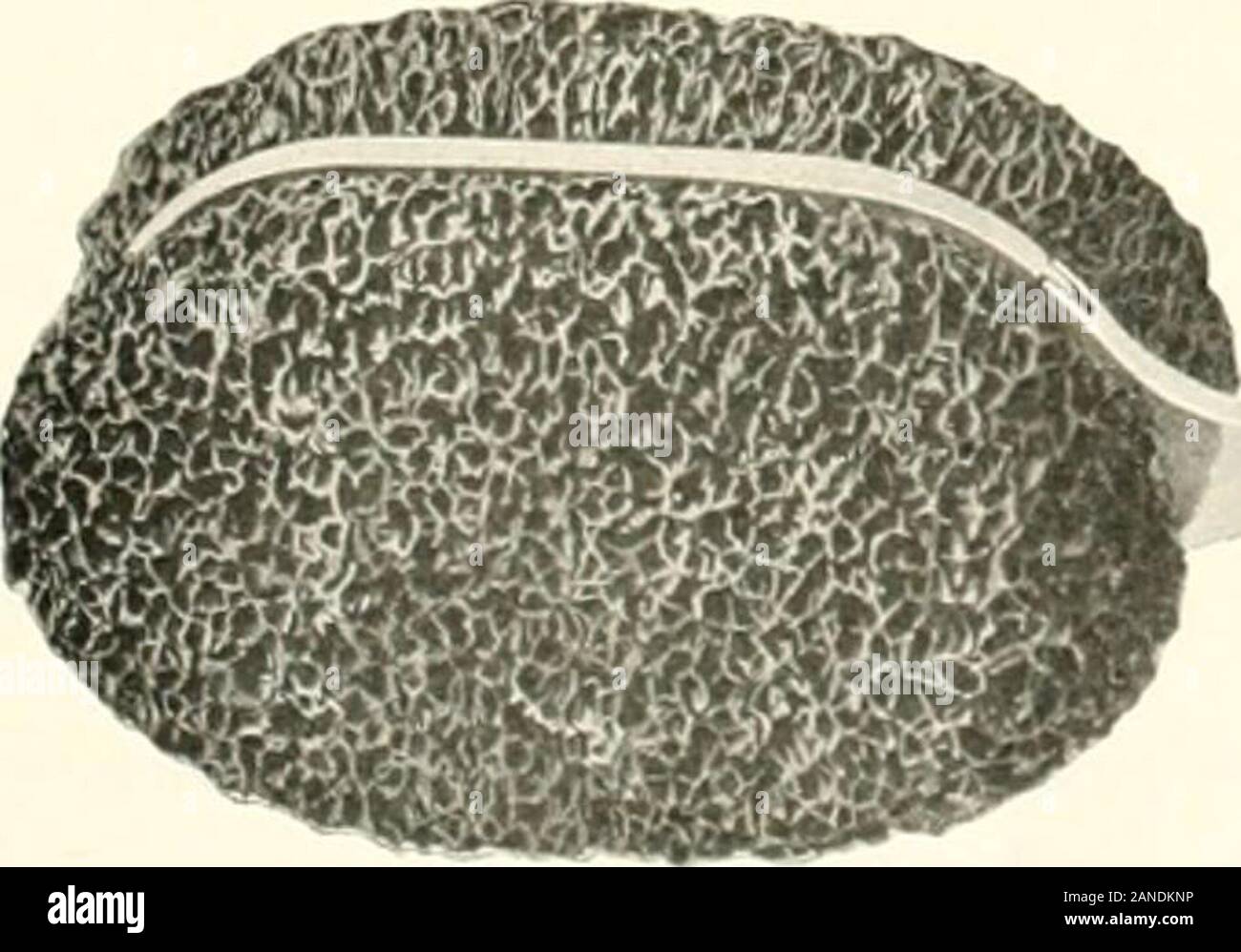 Invention covers hi-res stock photography and images - Alamy