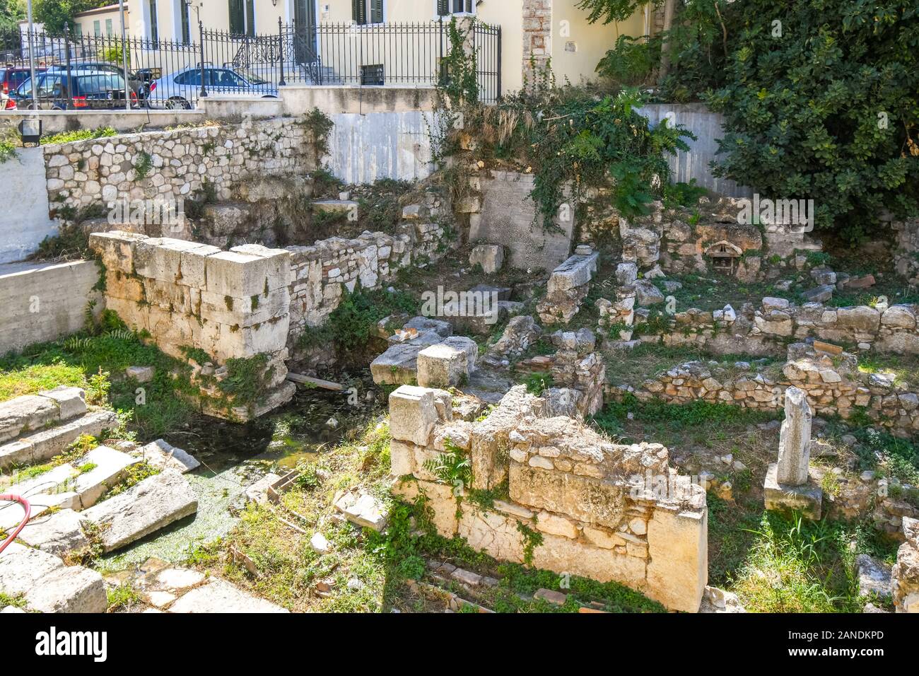 An orange and white cat relaxes on a stone in a below ground area full ...