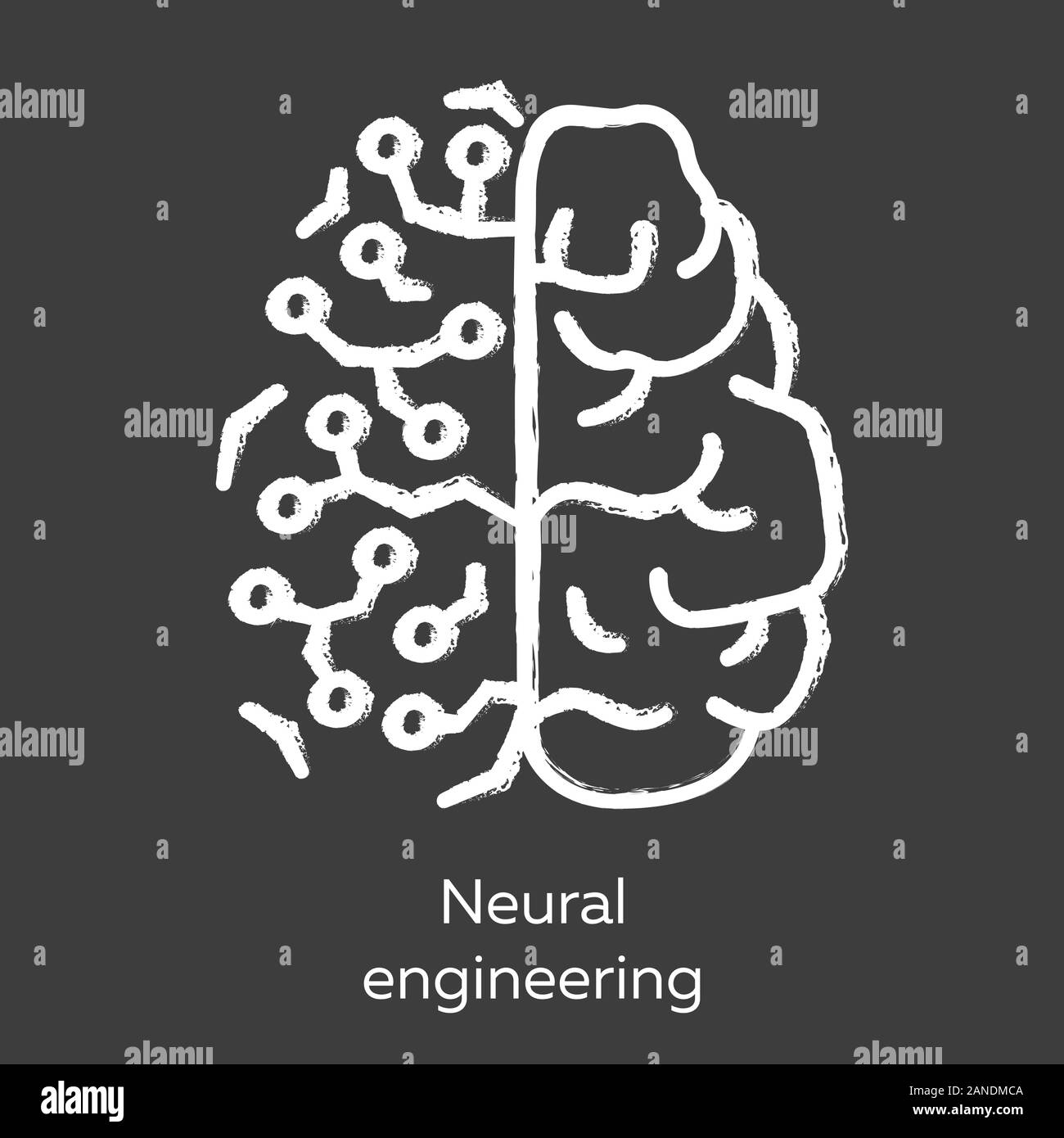 Neural tissue engineering hi-res stock photography and images - Alamy