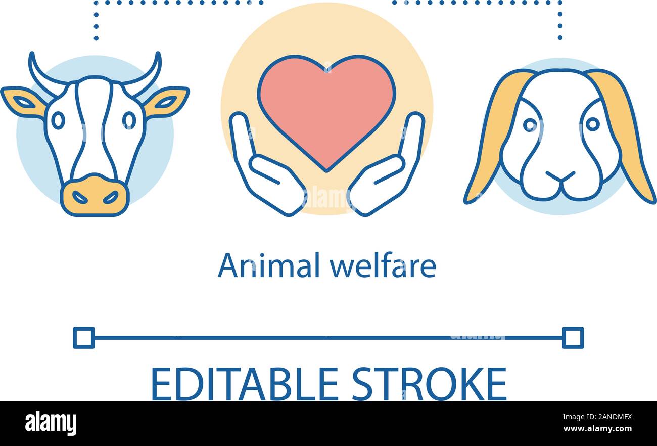 Animal welfare protection concept icon. Voluntary wildlife care idea ...