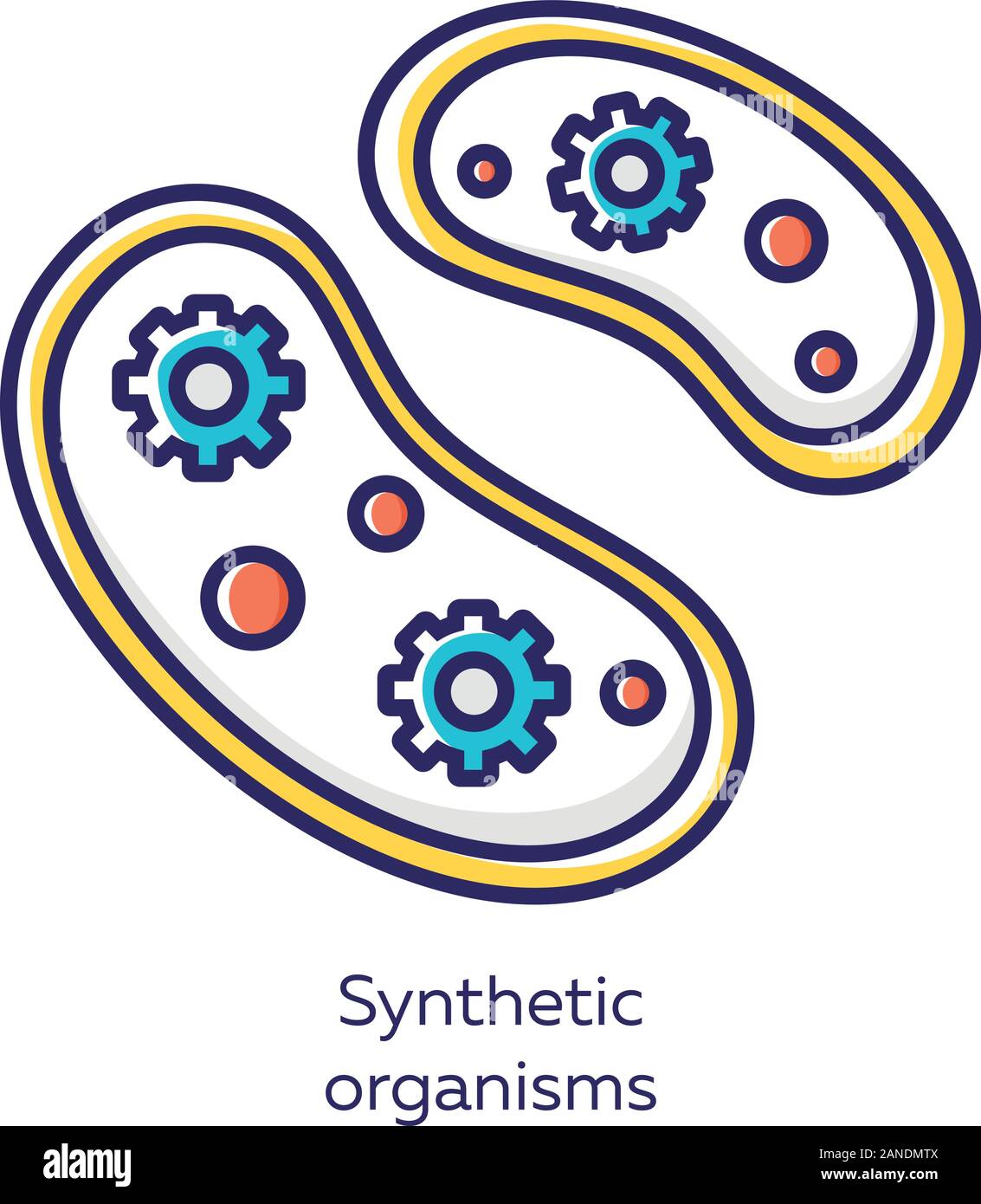 Single celled bacteria hi-res stock photography and images - Alamy