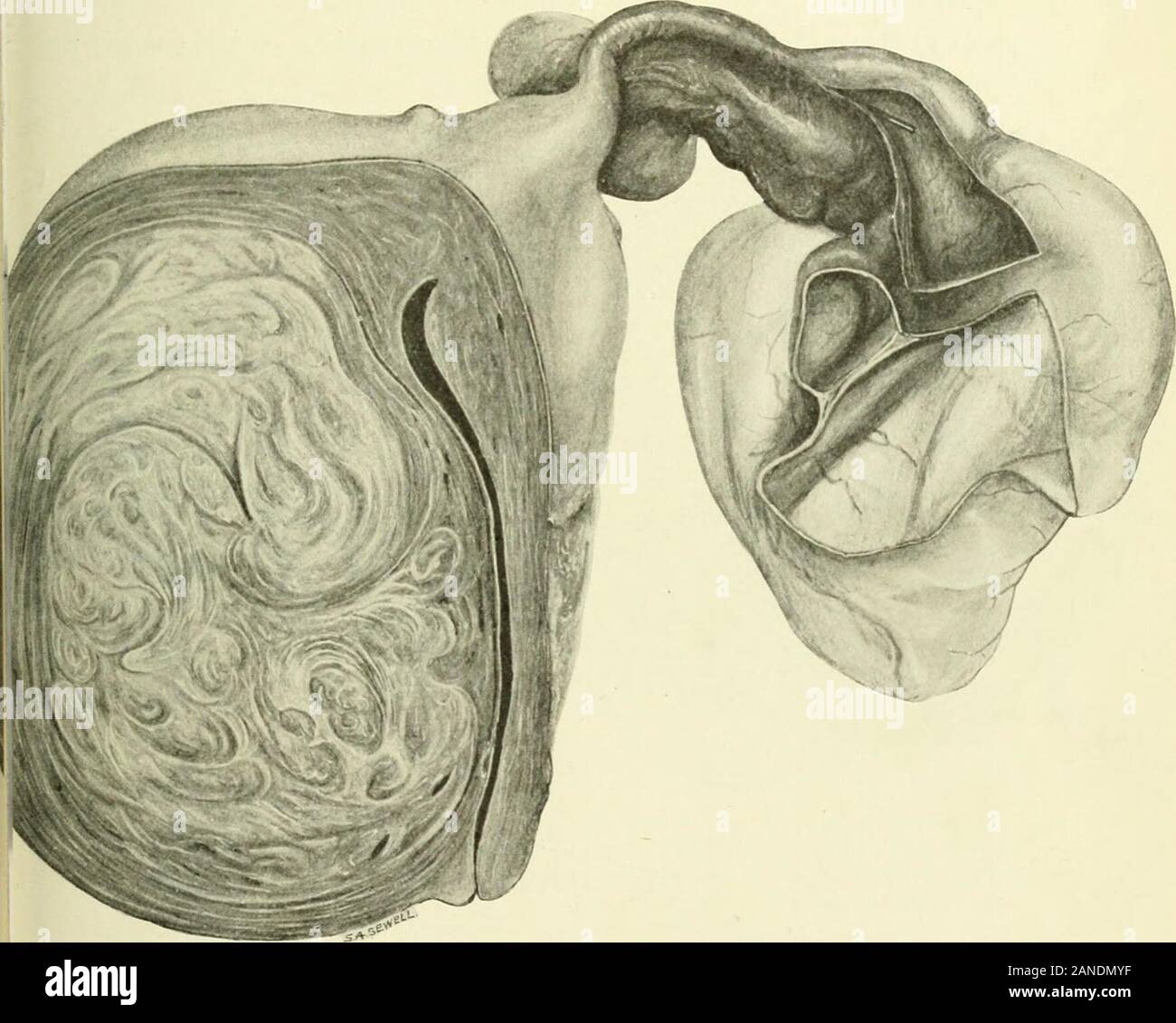 120 page hi-res stock photography and images - Alamy