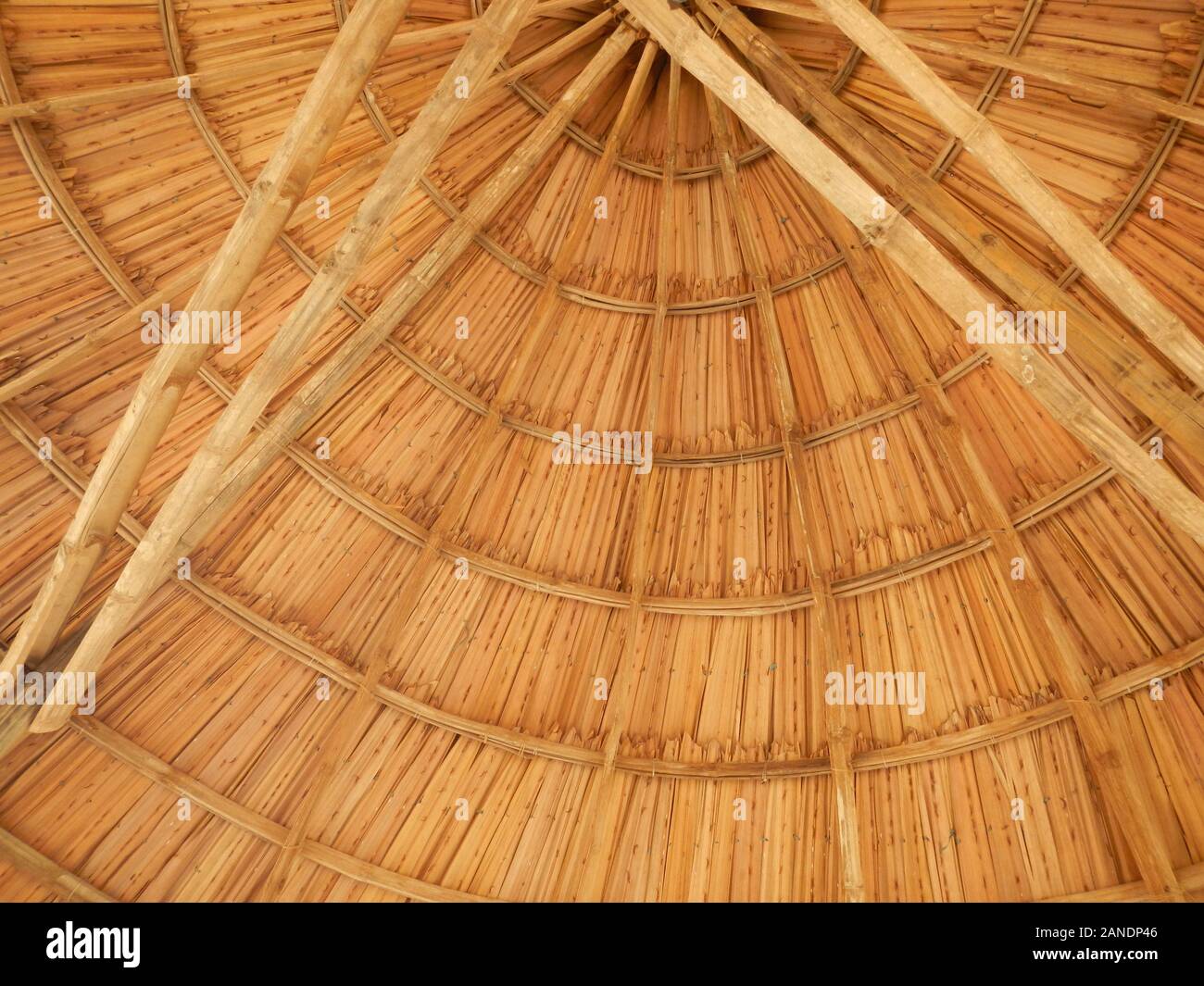 Umbrella bamboo hi-res stock photography and images - Alamy