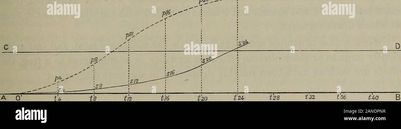 Atropia hi-res stock photography and images - Alamy