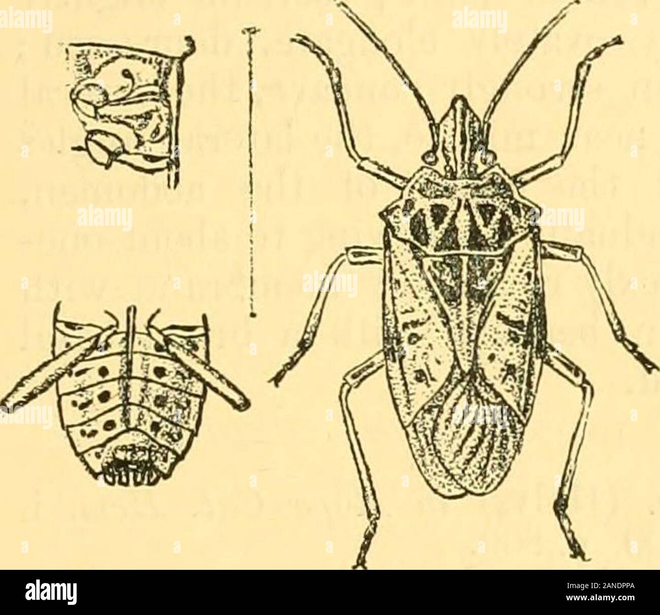 Darkspots hi-res stock photography and images - Alamy