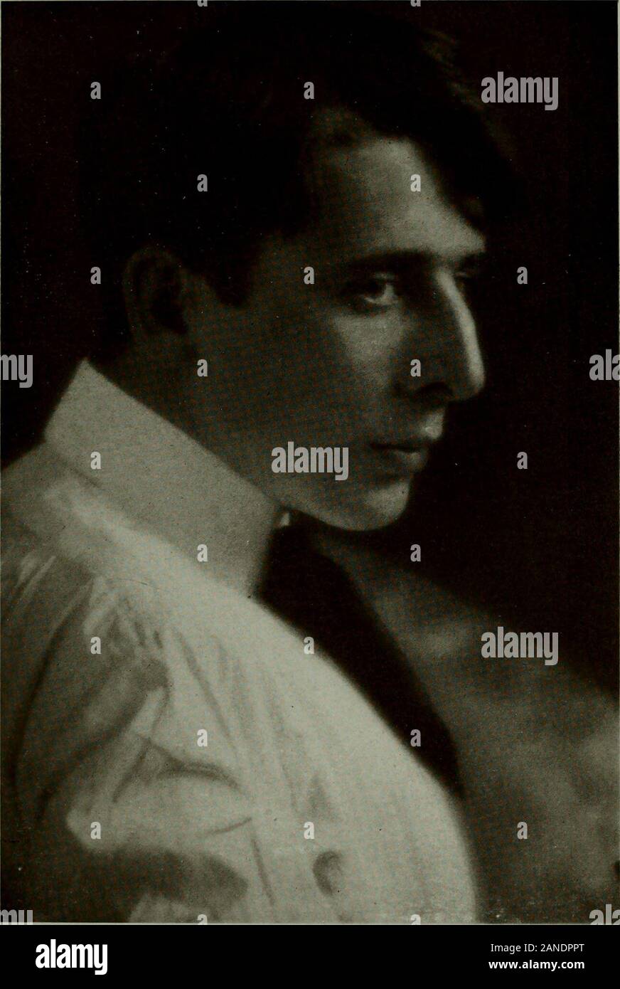 The American annual of photography . A PASTURE BROOK. FRANK LAING. 200 ...