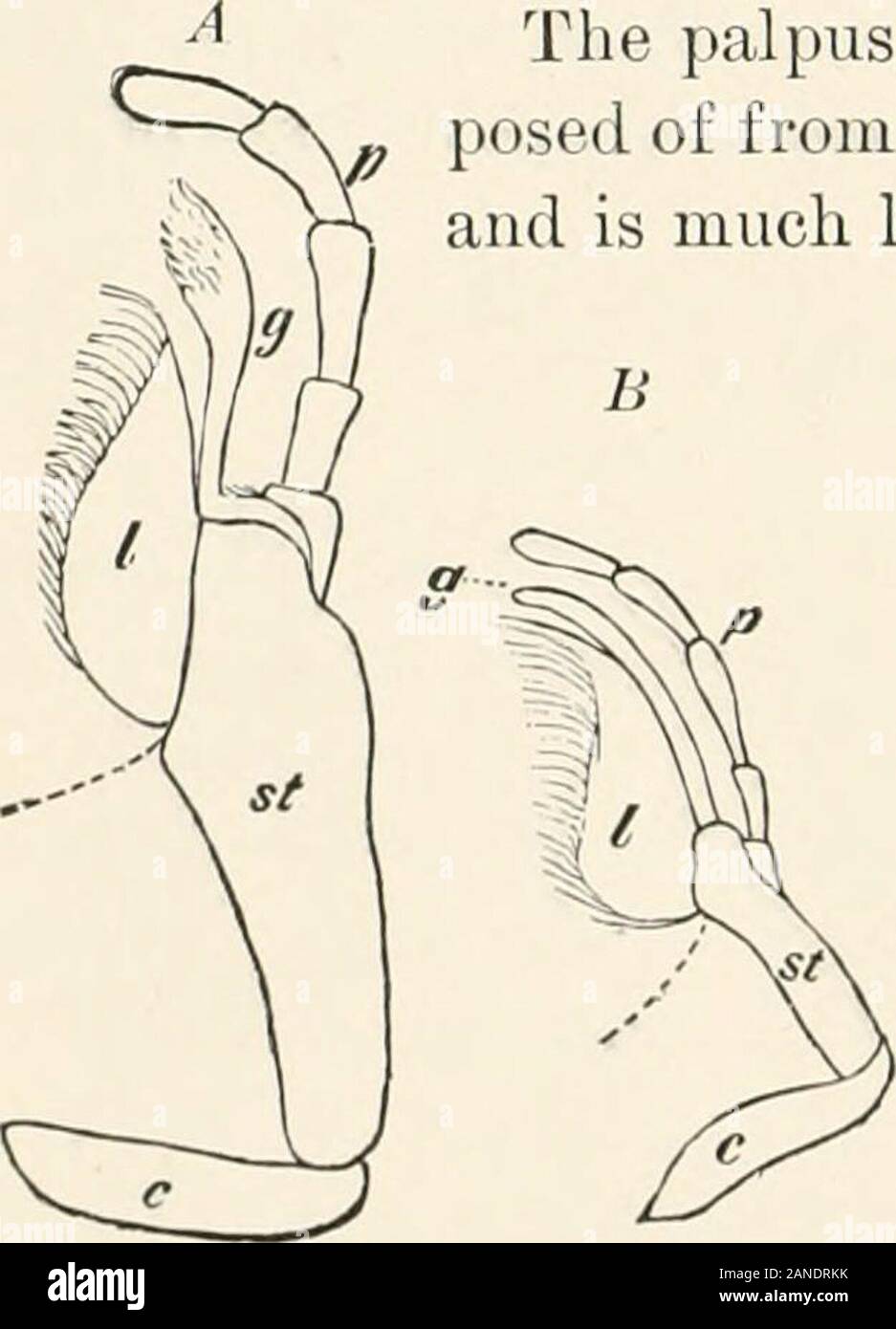Antenniform hi-res stock photography and images - Alamy