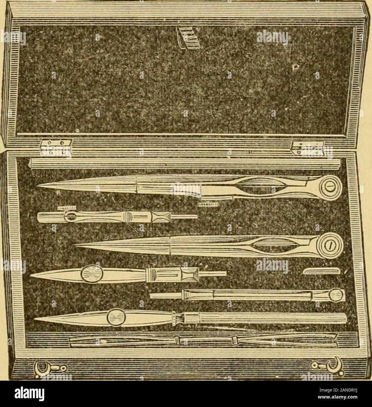 6 point leaf hi-res stock photography and images - Alamy