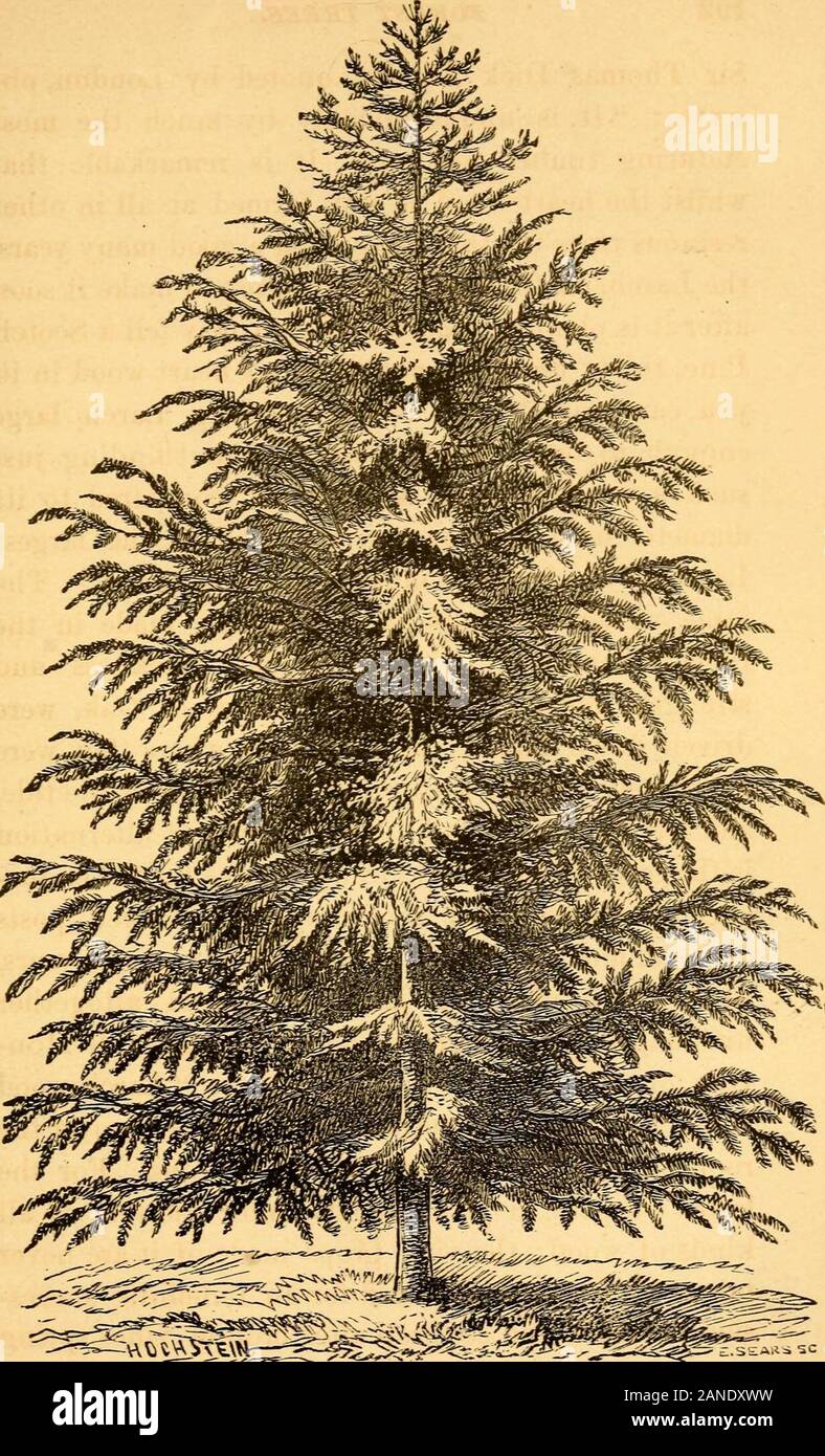 Oaken posts hi-res stock photography and images - Alamy