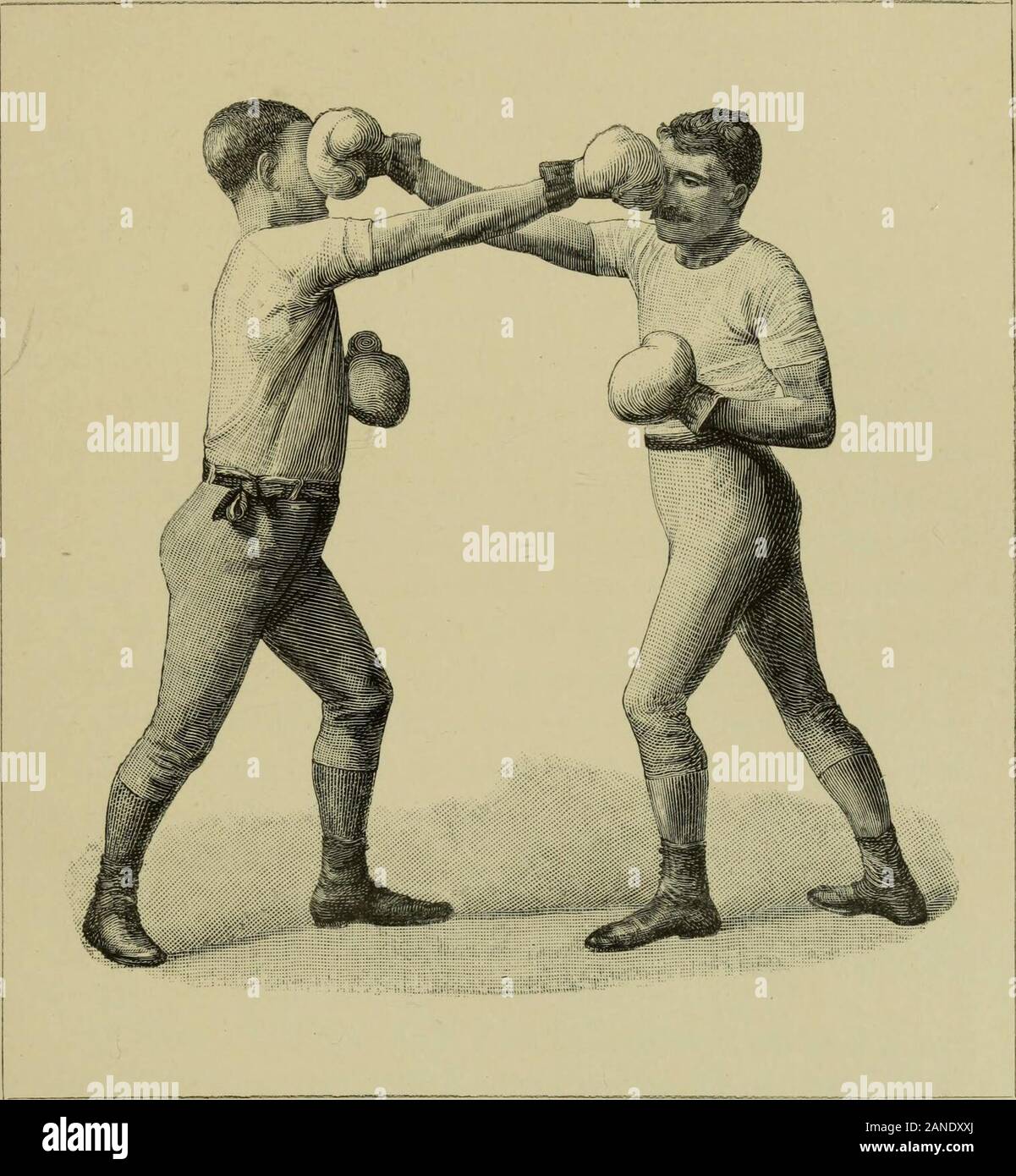 Half point bow hi-res stock photography and images - Alamy