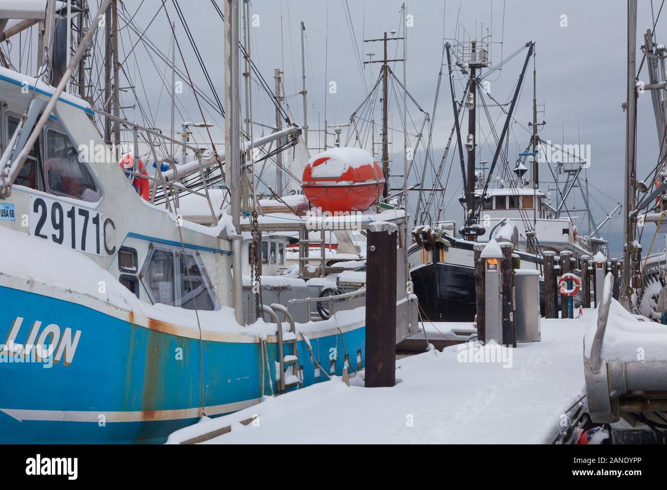 Commercial fishing boats under a blanket of snow in Steveston Harbour ...