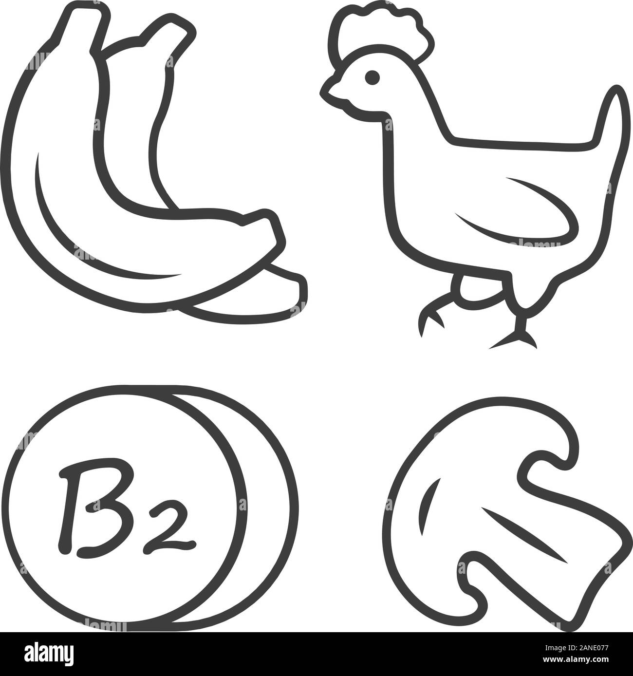 Vitamin B2 linear icon. Bananas, poultry and mushroom. Healthy eating ...
