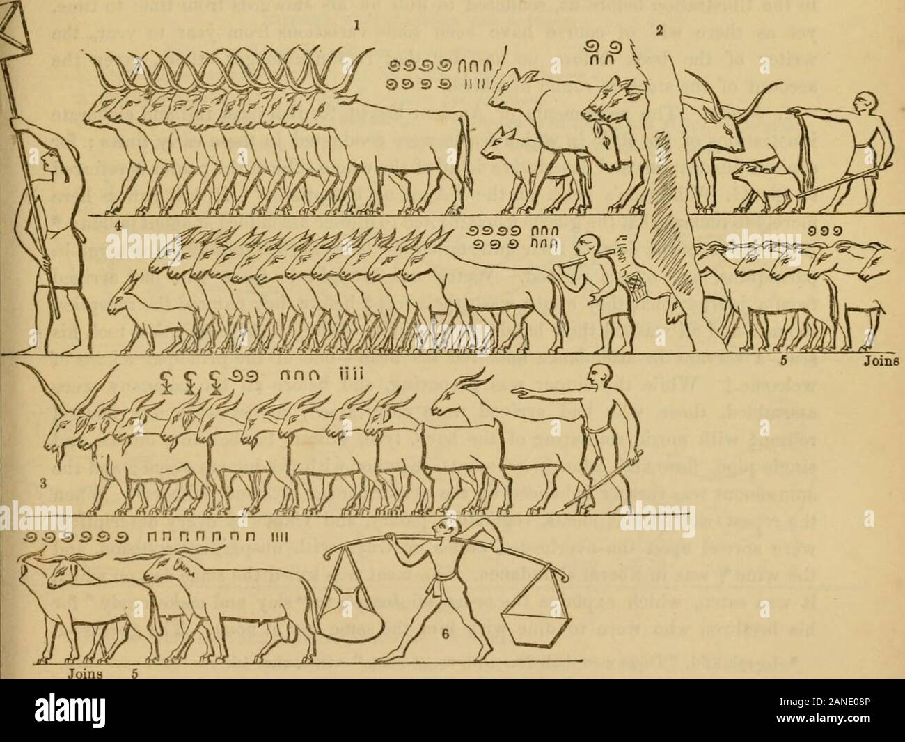 The Book of Job : translated from the Hebrew on the basis of the ...