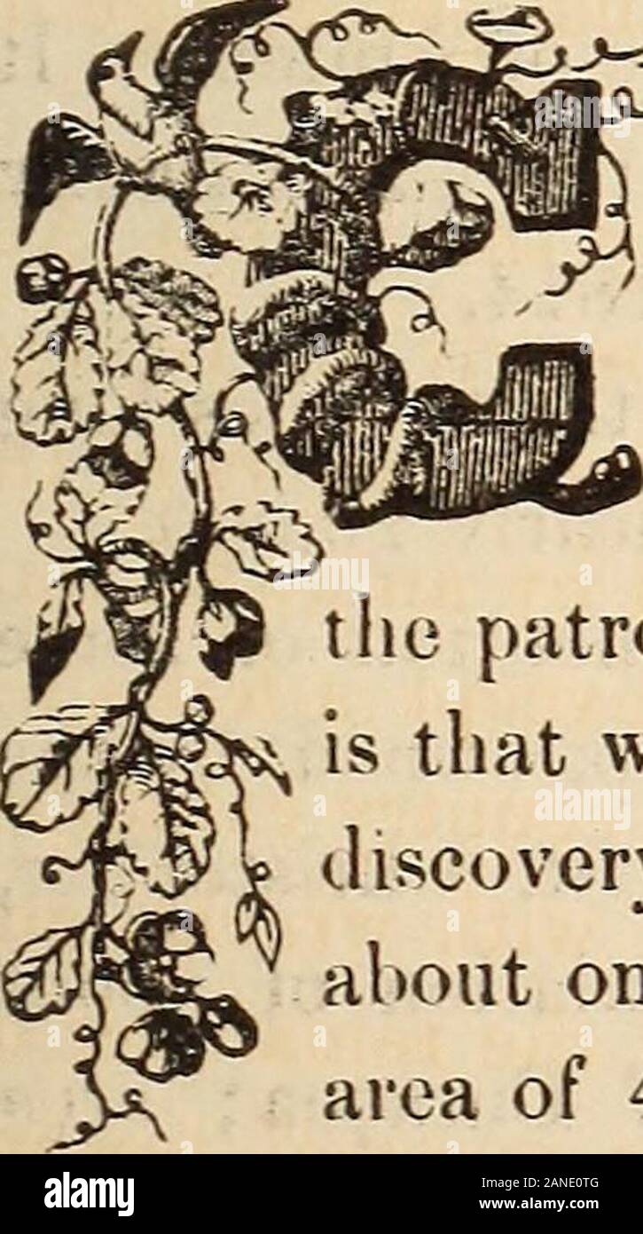 Patron 47 hi-res stock photography and images - Alamy