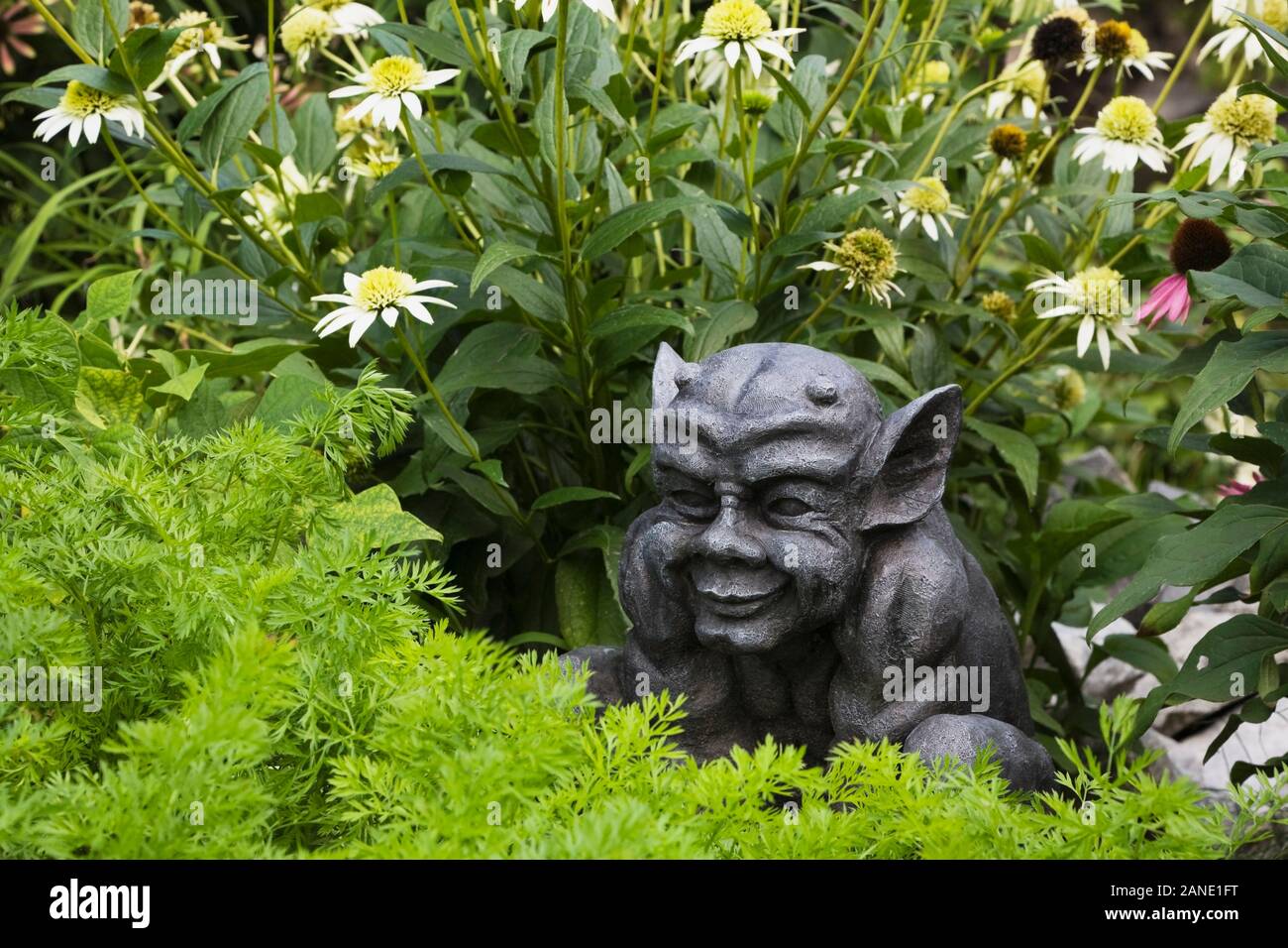 Close-up of dark grey gargoyle sculpture and Echinacea 'White Lustre ...