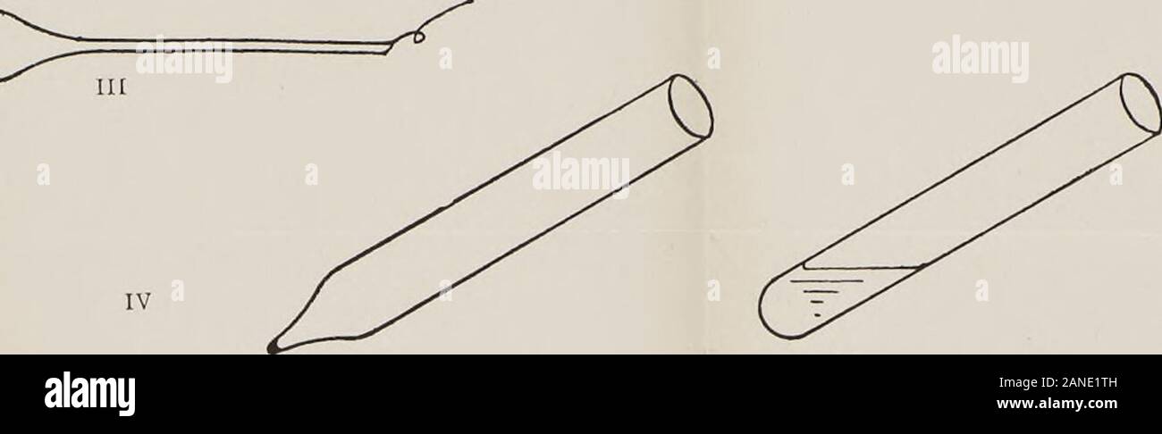 An introduction to therapeutic inoculation . O d Kg., d d a D Fig. h ...