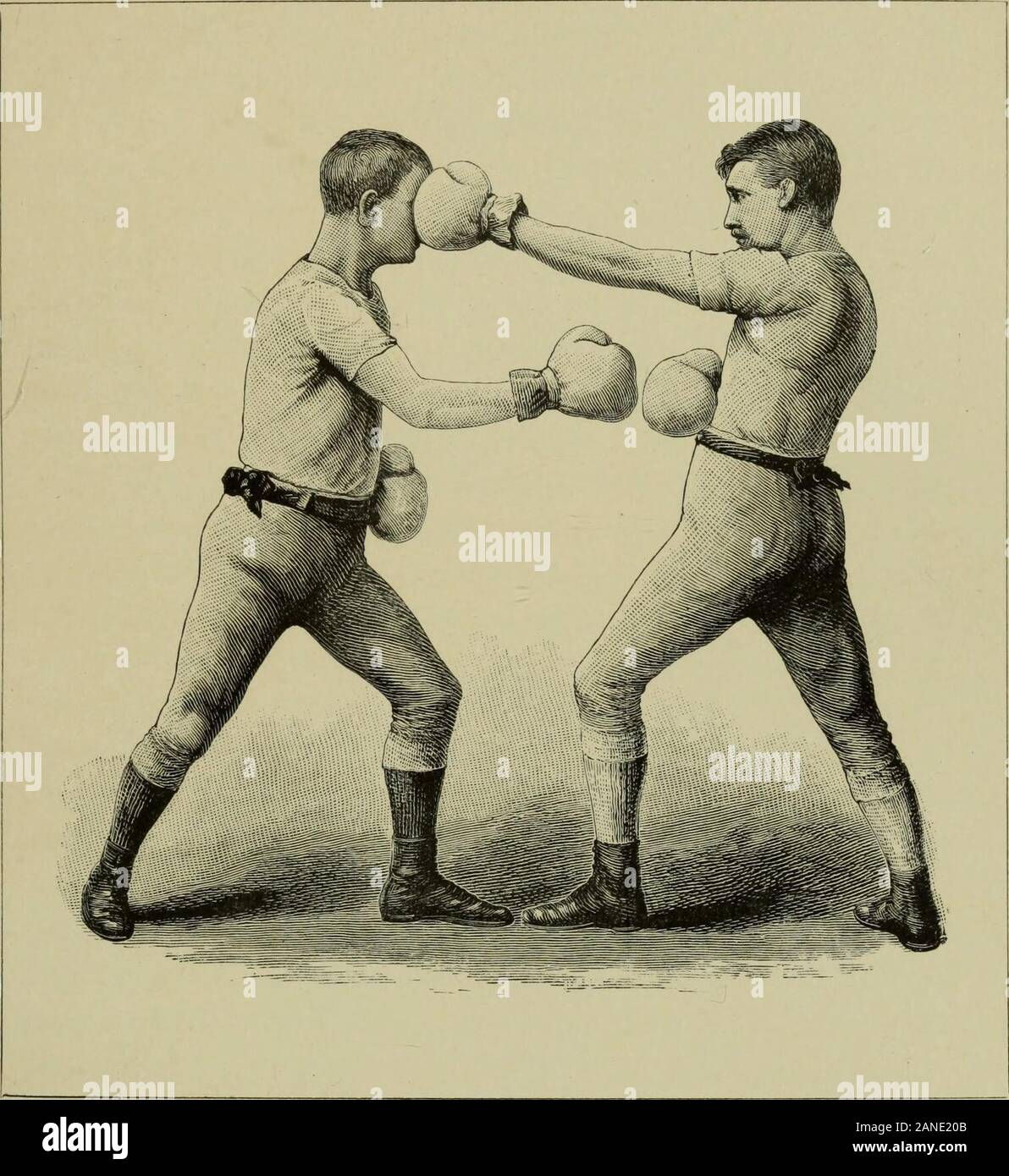 Every limb hi-res stock photography and images - Alamy