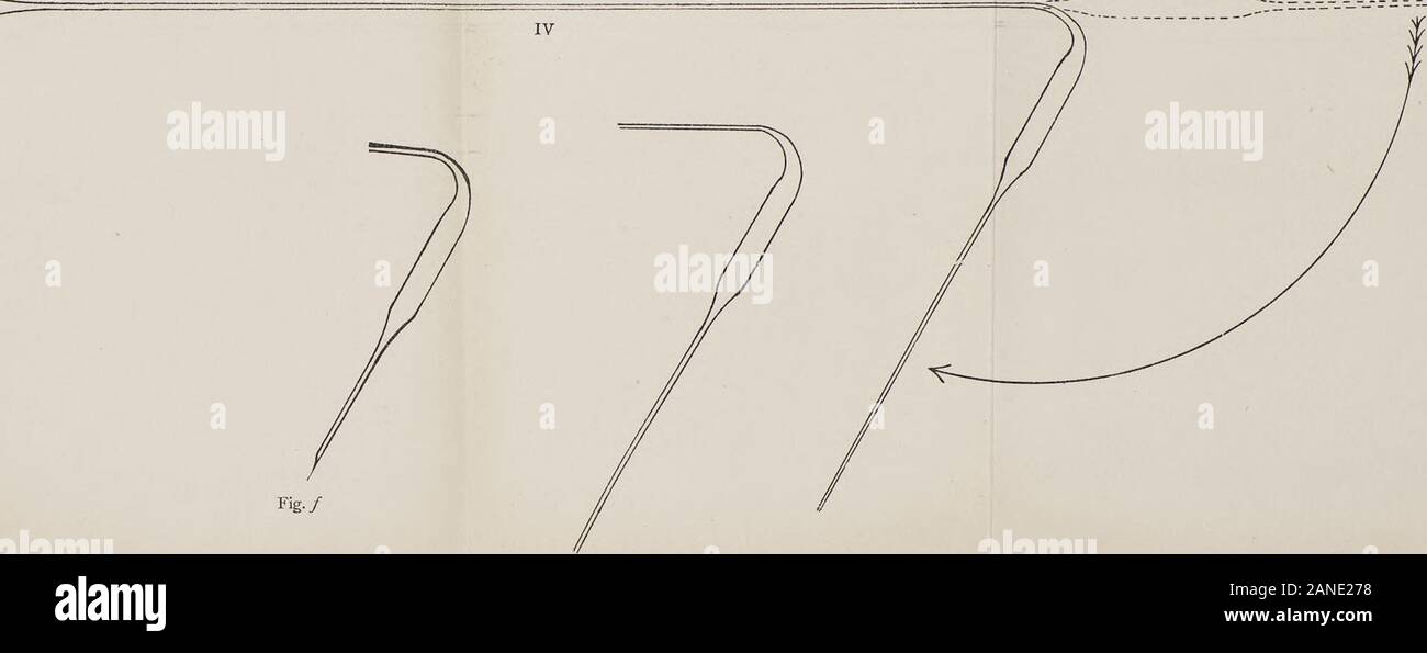 Milligramme hi-res stock photography and images - Alamy