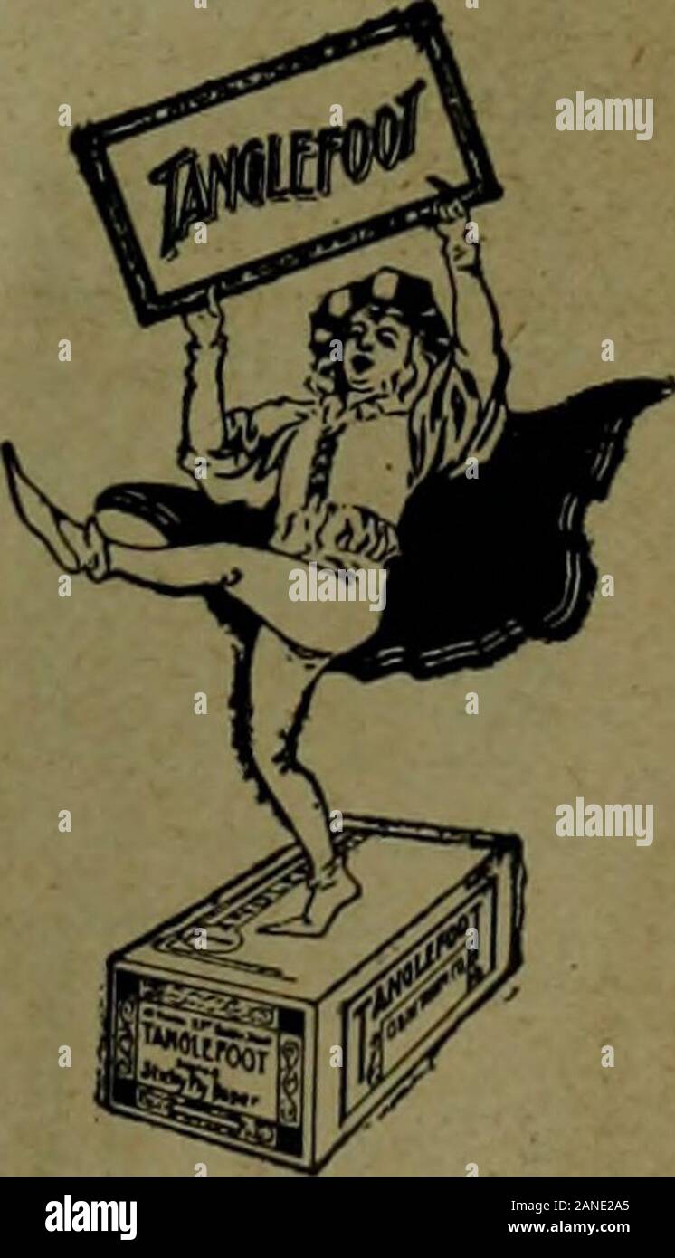 Tanglefoot hi-res stock photography and images - Alamy