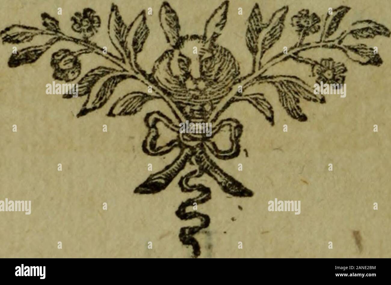 Plaudite hi-res stock photography and images - Alamy