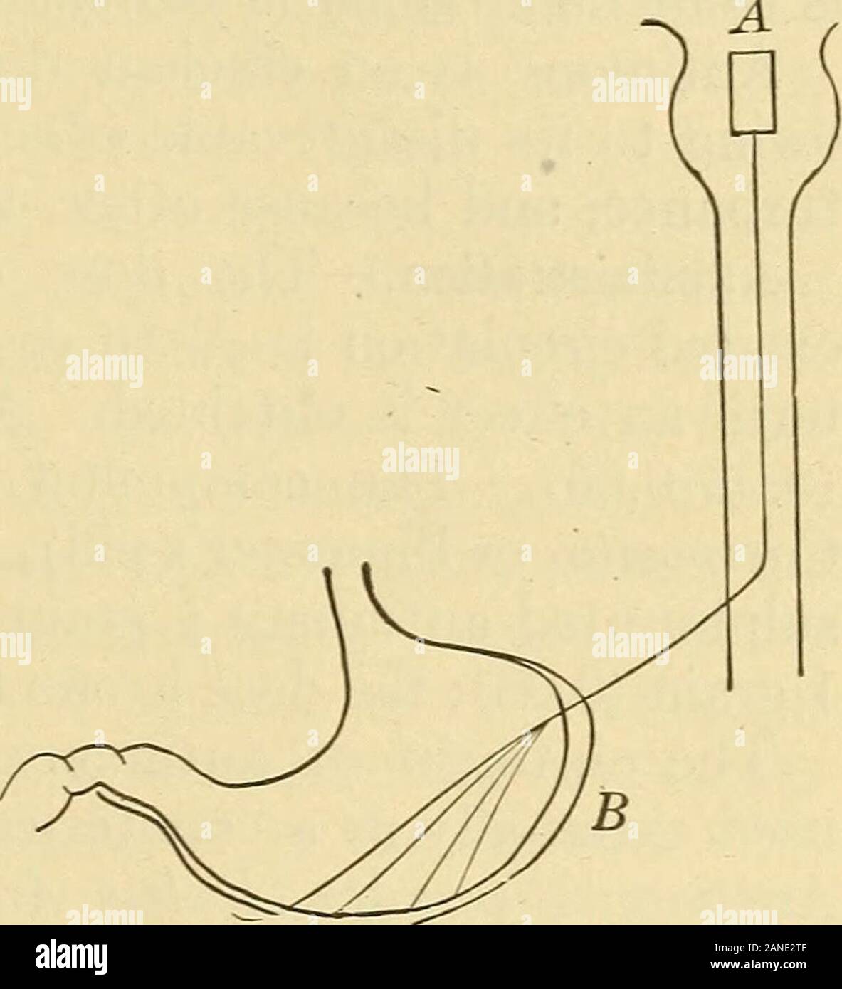 Asthenic hi-res stock photography and images - Alamy