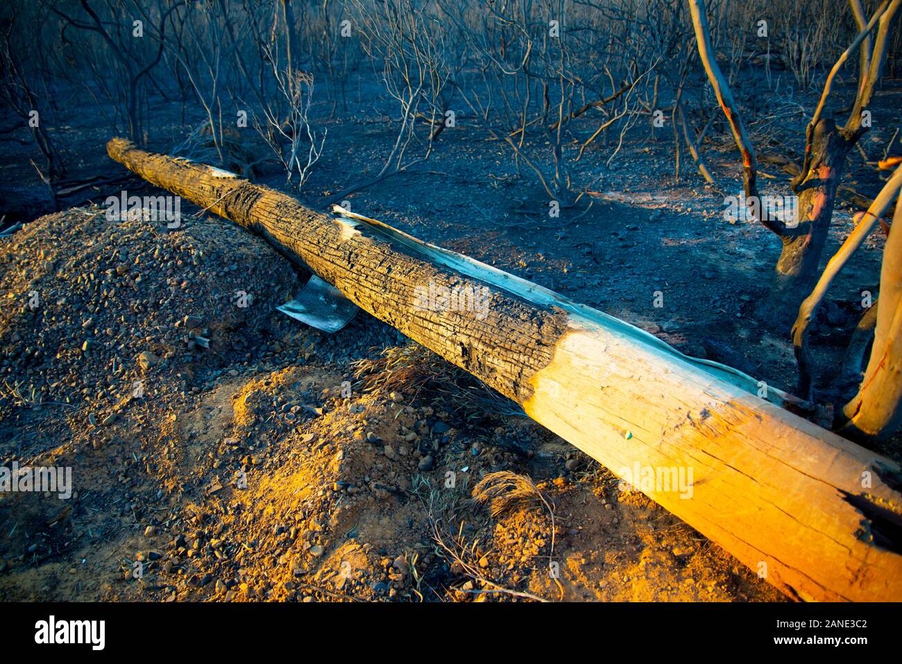 Wood electric pylon hi-res stock photography and images - Alamy