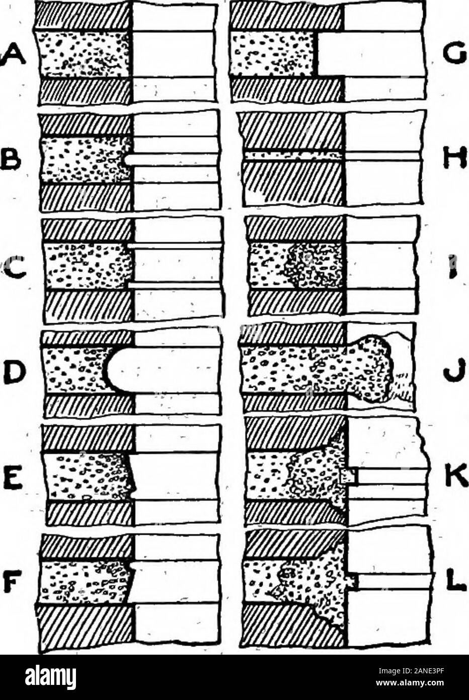 Pointing joints Black and White Stock Photos & Images - Alamy