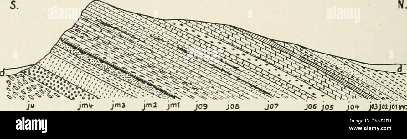 Oolitic ironstone sample hi-res stock photography and images - Alamy