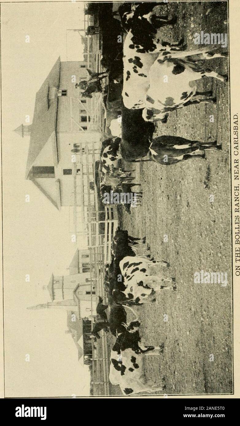 Tuberculosis camp hi-res stock photography and images - Alamy