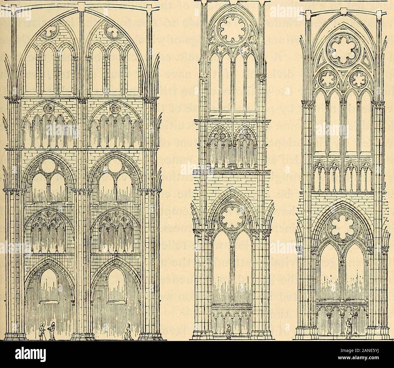 Triforium Diagram