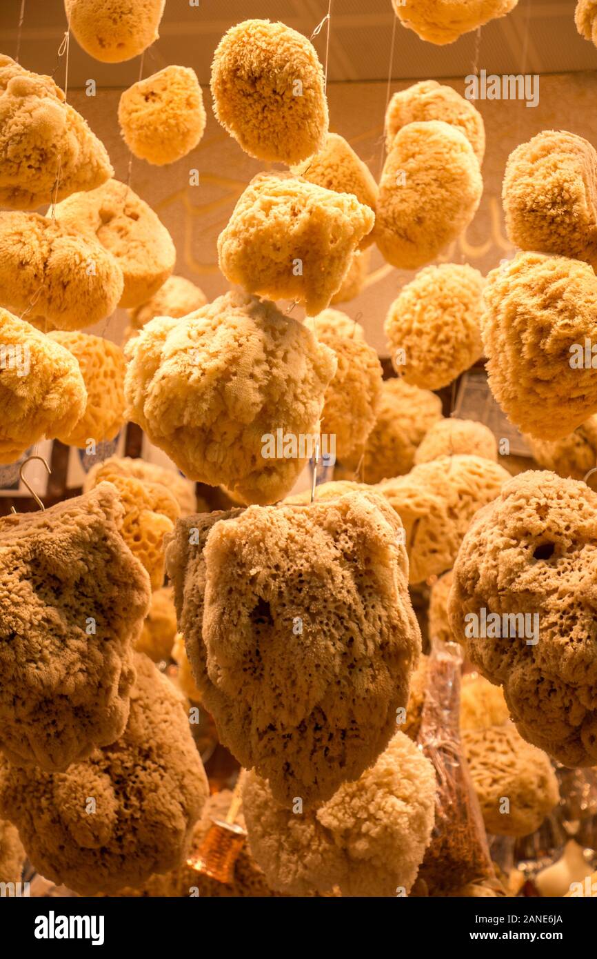 Collection of sea sponges hanging on a market stall Stock Photo - Alamy