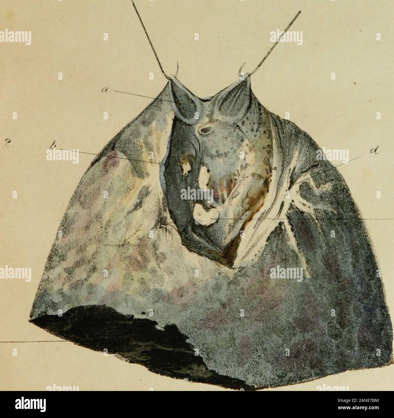 Remedial art hi-res stock photography and images - Alamy