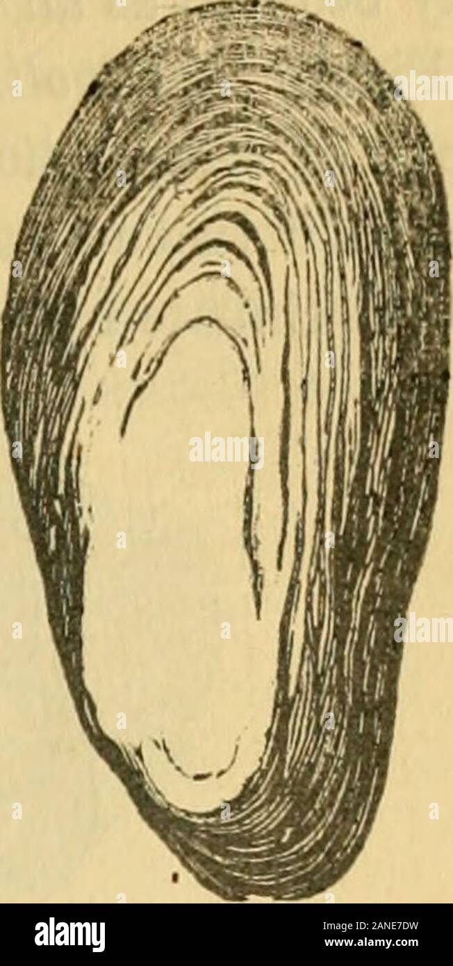 Cyrto hi-res stock photography and images - Alamy