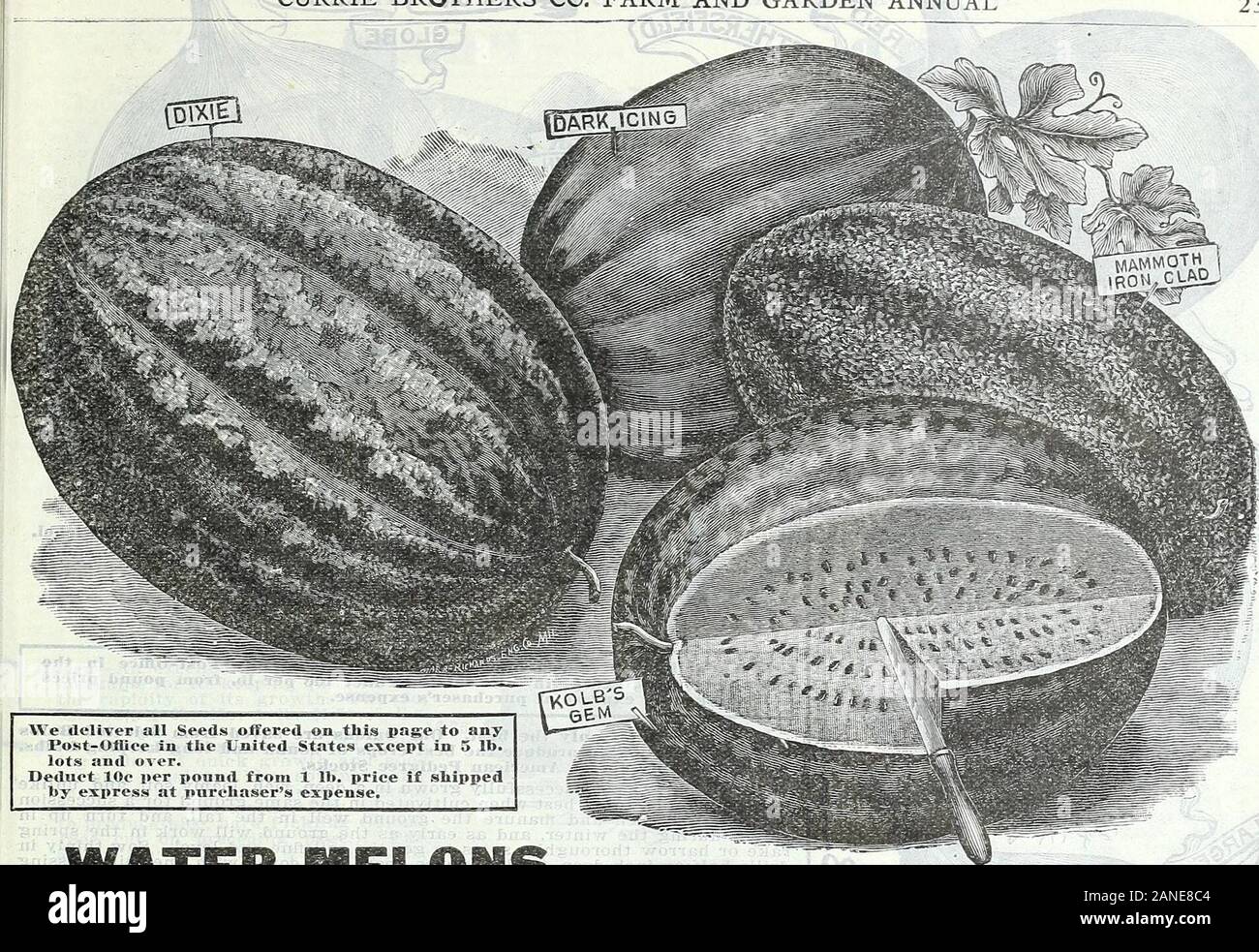 Melon eau hi-res stock photography and images - Alamy