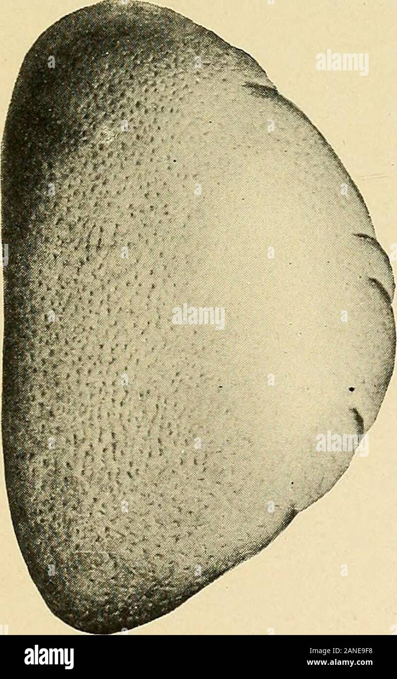 The glands of life : a contribution to the study of organotherapy ...