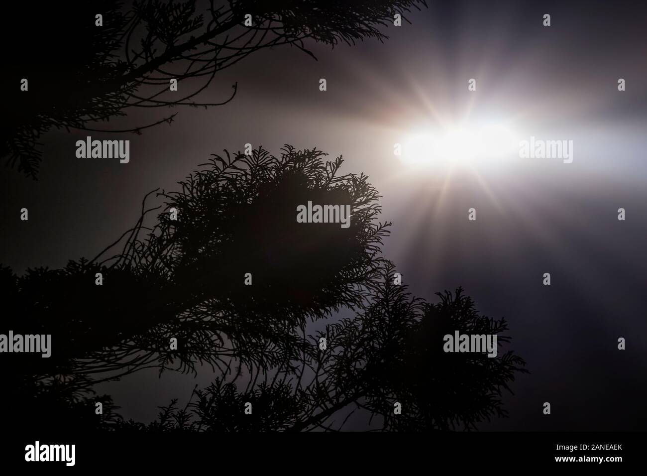 A bright light shining hi-res stock photography and images - Alamy