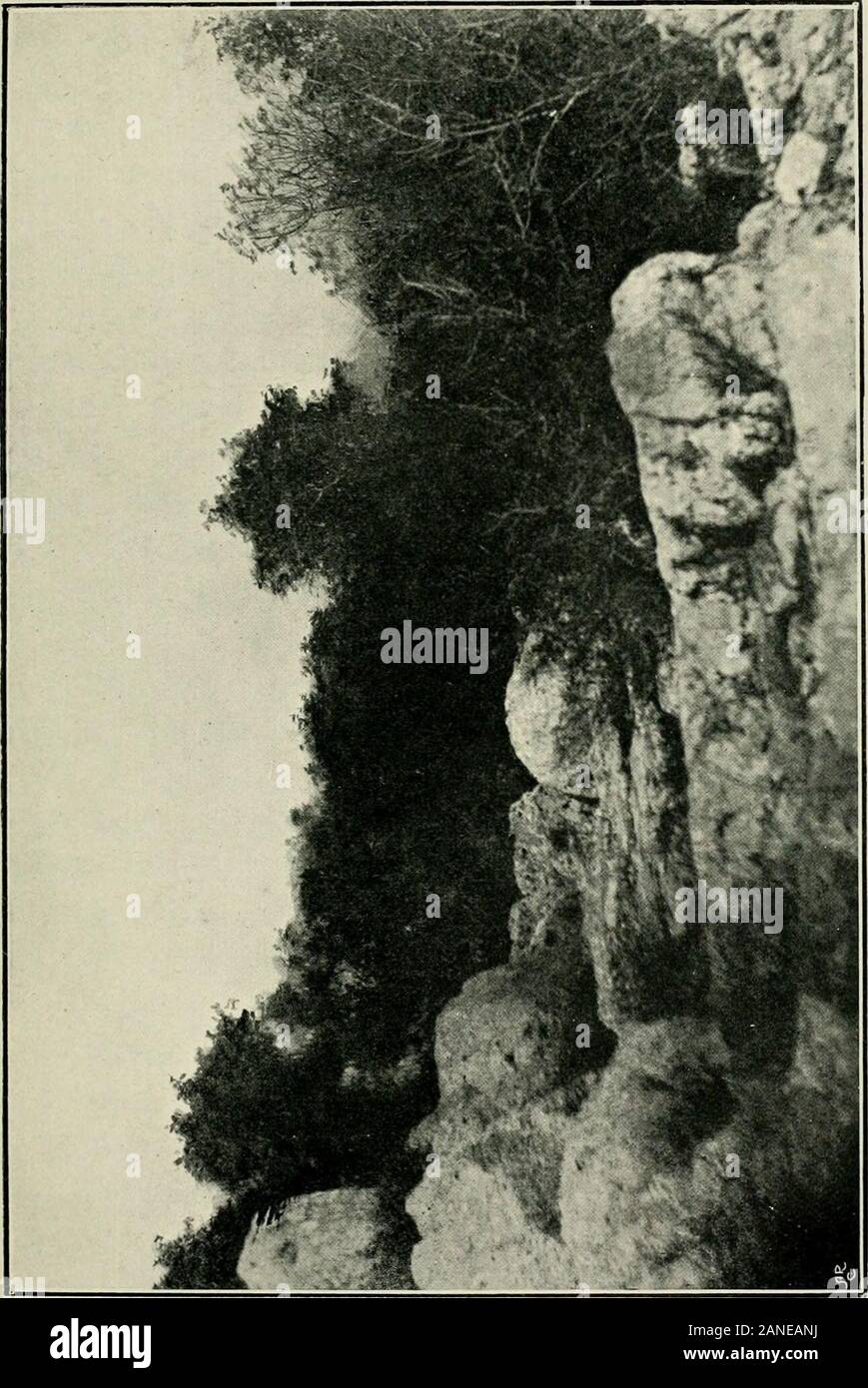 Blood on doorposts hi-res stock photography and images - Alamy