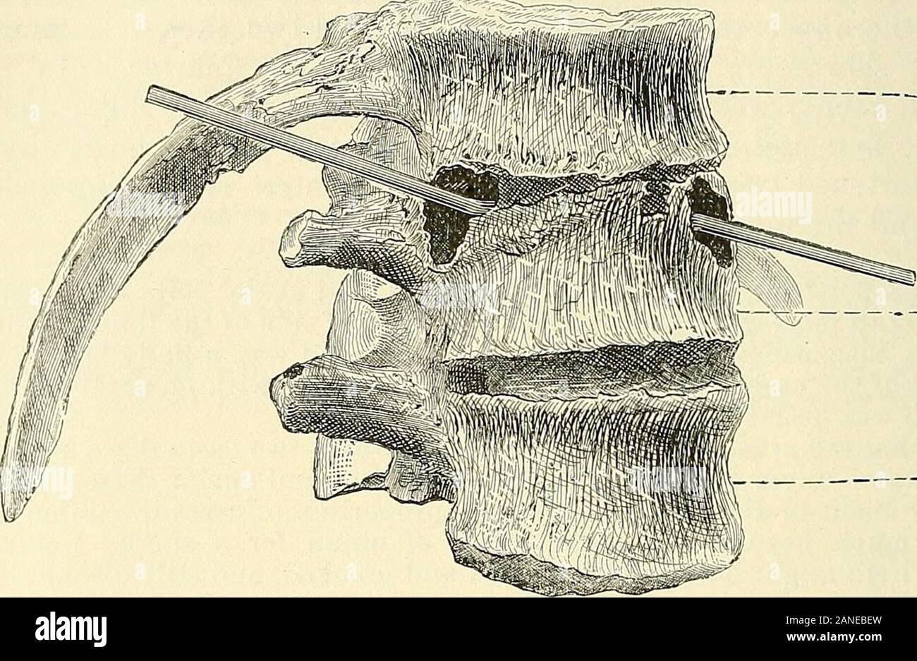 Deep fissures hi-res stock photography and images - Alamy