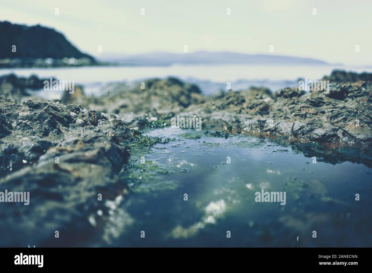 beach rock and stone to show with beach in background Stock Photo - Alamy