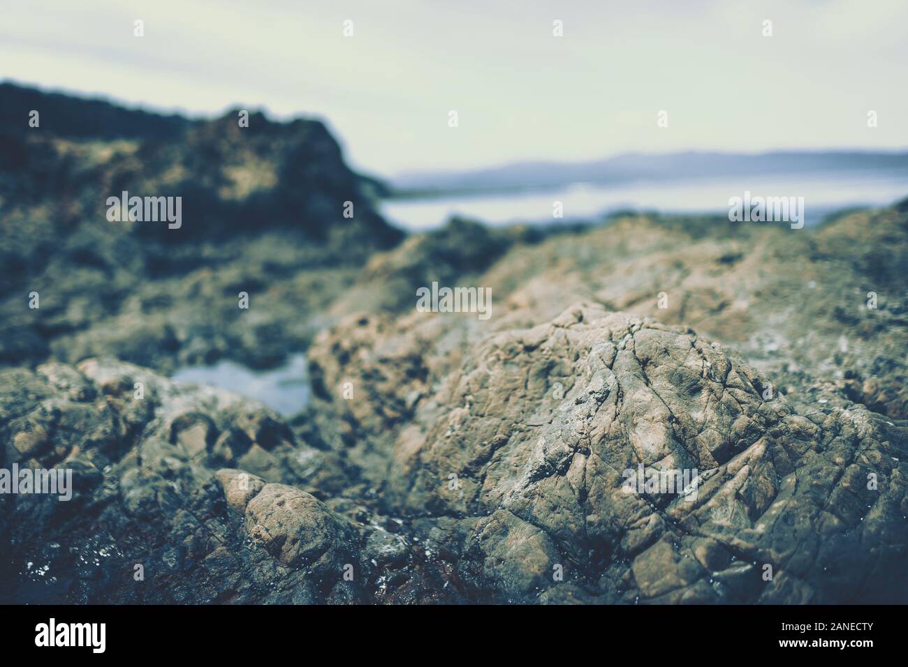 beach rock and stone to show with beach in background Stock Photo - Alamy