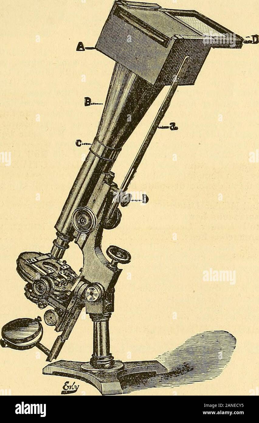 Plate camera ground glass hi-res stock photography and images - Alamy