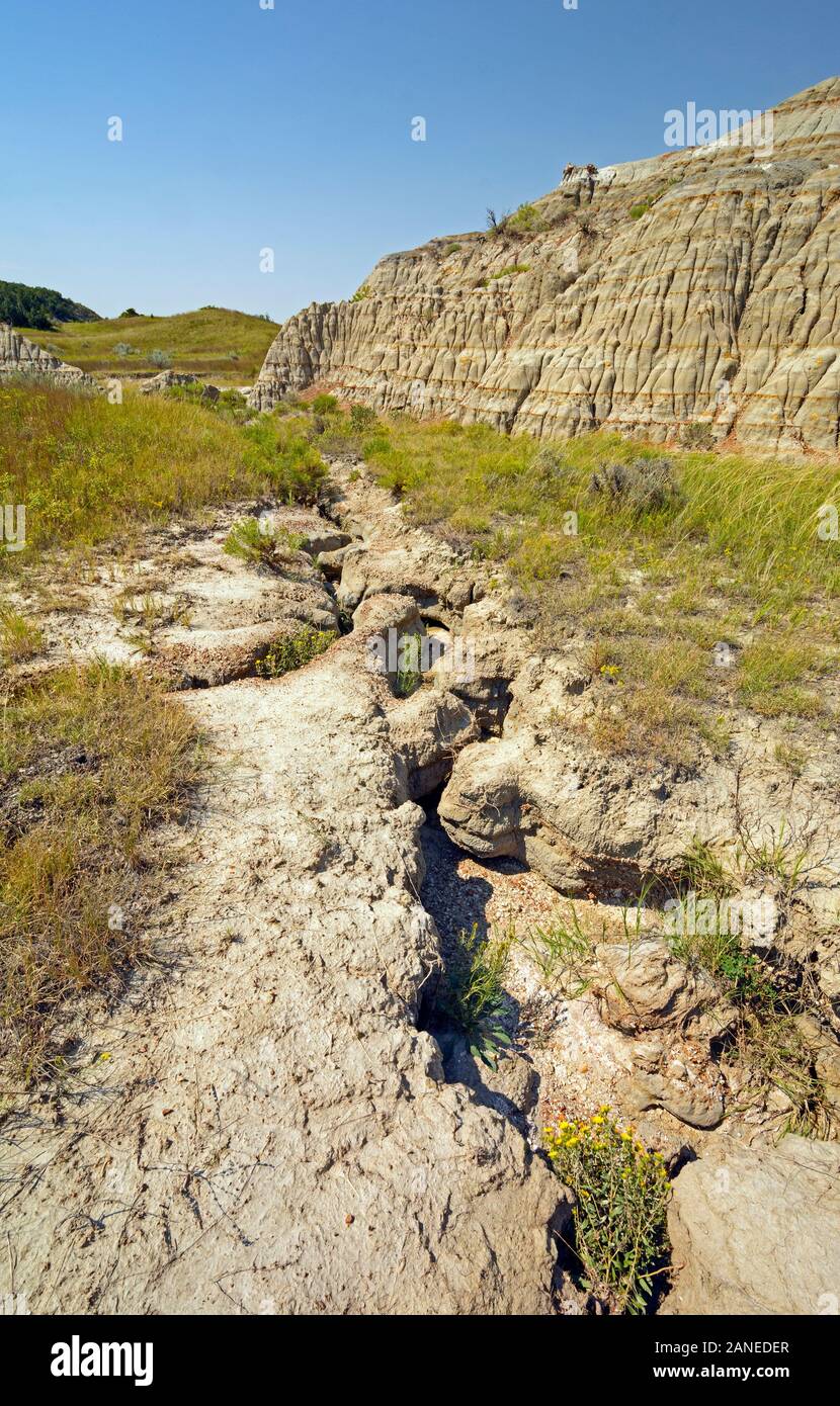 Eroded Gully in the Badlands in Theodore Roosevelt National Park Stock ...